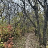 Pembina Rim Trail, Manitoba, Canada - 373 Reviews, Map | AllTrails