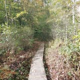 Hudson Pointe Nature Preserve, New York - 727 Reviews, Map | AllTrails