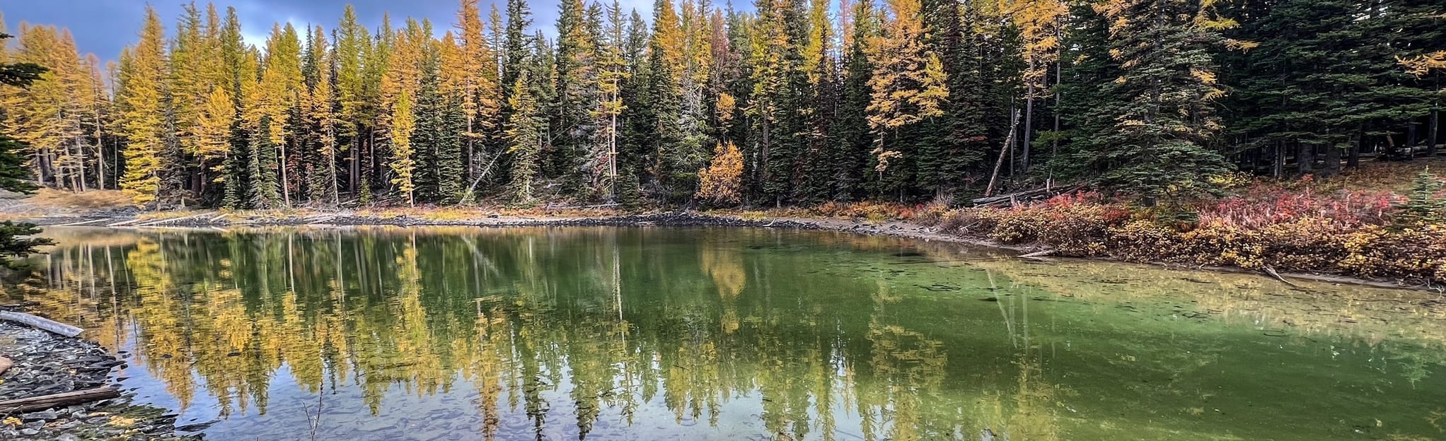 Clara Lake and Marion Lake, Washington - 555 Reviews, Map | AllTrails