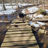 Inman Pond Trail, New York - 310 Reviews, Map | AllTrails