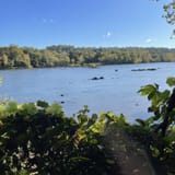 Turkey Run Potomac Heritage Trail, Virginia - 1,246 Reviews, Map ...