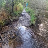 Yarrow Valley Country Park Circular, Lancashire, England - 263 Reviews ...