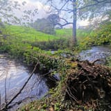 Yarrow Valley Country Park Circular, Lancashire, England - 263 Reviews ...