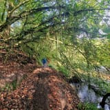 Yarrow Valley Country Park Circular, Lancashire, England - 263 Reviews ...