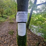 Yarrow Valley Country Park Circular, Lancashire, England - 263 Reviews ...