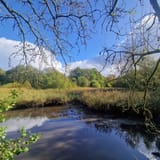 Yarrow Valley Country Park Circular, Lancashire, England - 263 Reviews ...