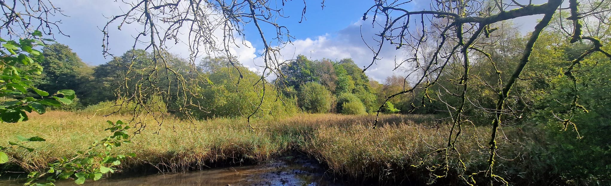 Yarrow Valley Country Park Circular, Lancashire, England - 152 Reviews ...