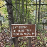 Sky Bridge Trail, Kentucky - 2,187 Reviews, Map | AllTrails