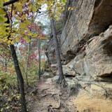 Sky Bridge Trail, Kentucky - 2,187 Reviews, Map | AllTrails