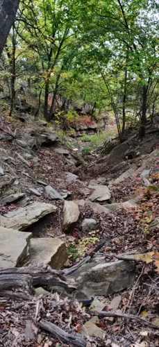 Best Hikes and Trails in Cross Timbers State Park | AllTrails