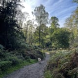 Kinver Edge and Cave Houses Circular, West Midlands, England - 205 ...