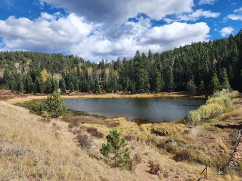 10 Best Hikes and Trails in Mueller State Park | AllTrails