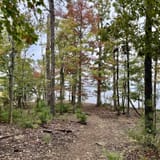 Little Gap Trail, South Carolina - 686 Reviews, Map | AllTrails