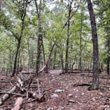Little Gap Trail, South Carolina - 686 Reviews, Map | AllTrails
