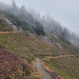 Chain Lakes Loop Trail, Washington - 4,303 Reviews, Map | AllTrails