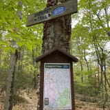 Case Mountain Trail, Connecticut - 964 Reviews, Map | AllTrails