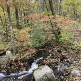Case Mountain Trail, Connecticut - 964 Reviews, Map | AllTrails