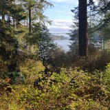 Cranberry Lake Trail, Washington - 118 Reviews, Map | AllTrails