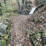 Case Mountain Trail, Connecticut - 964 Reviews, Map | AllTrails