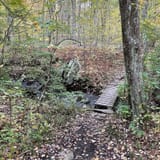 Case Mountain Trail, Connecticut - 964 Reviews, Map | AllTrails