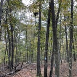 Case Mountain Trail, Connecticut - 964 Reviews, Map | AllTrails