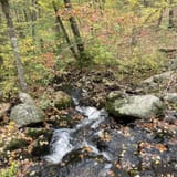 Case Mountain Trail, Connecticut - 964 Reviews, Map | AllTrails