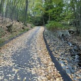 Case Mountain Trail, Connecticut - 964 Reviews, Map | AllTrails