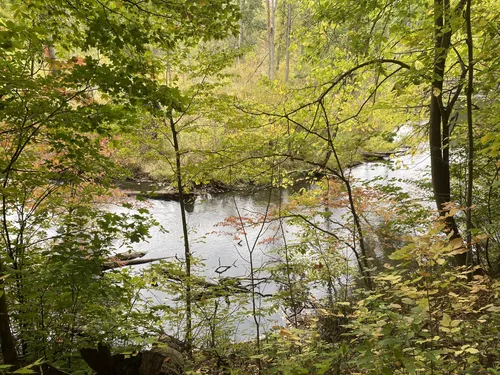 Best Hikes and Trails in Fawn River Nature Preserve | AllTrails