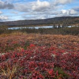 Curry Ridge Trail, Alaska - 756 Reviews, Map | AllTrails