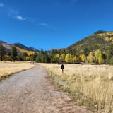 Inner Basin Trail, Arizona - 826 Reviews, Map | AllTrails