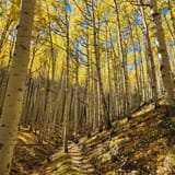 Inner Basin Trail, Arizona - 826 Reviews, Map | AllTrails
