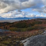Curry Ridge Trail, Alaska - 756 Reviews, Map | AllTrails