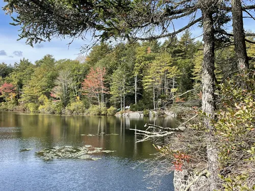 Best Hikes and Trails in Peters Pond Preserve | AllTrails