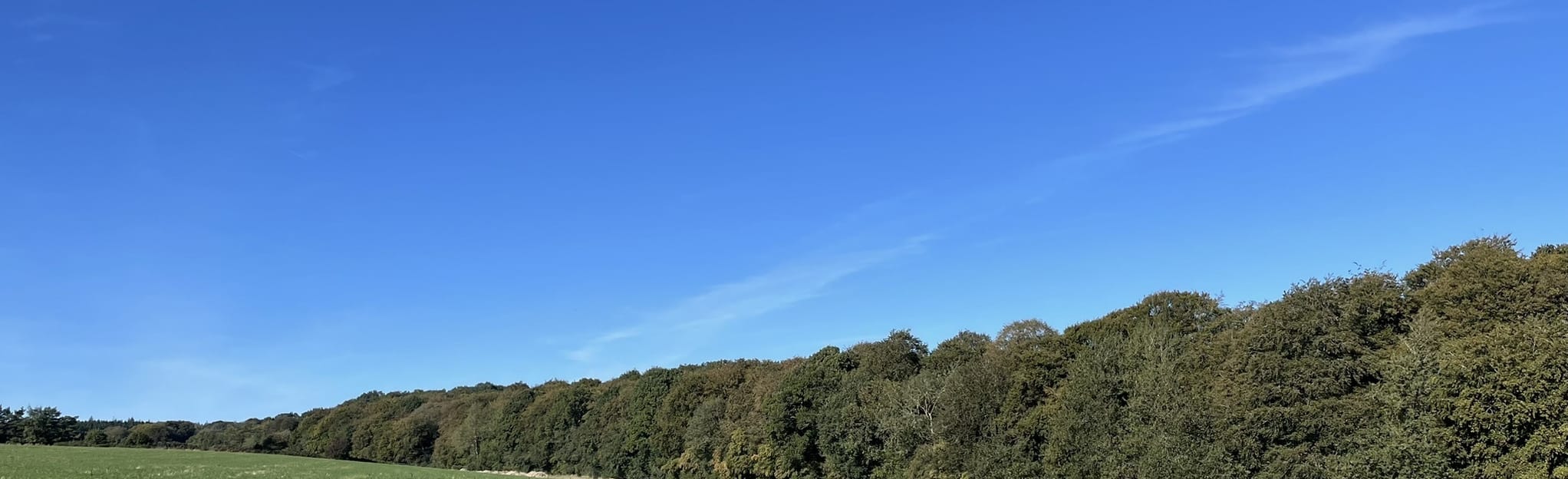 Great Missenden - Buckland Common Circular: 70 Fotos - Buckinghamshire ...