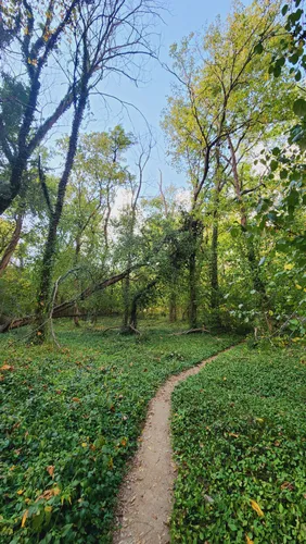 10 Best Trails and Hikes in St. Louis | AllTrails