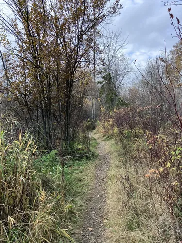 Best 10 Hiking Trails in Wagner Natural Area | AllTrails