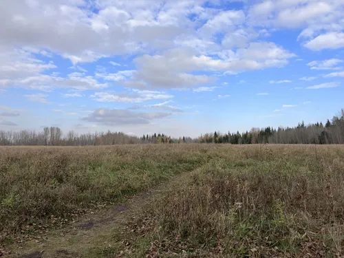 Best 10 Hiking Trails in Wagner Natural Area | AllTrails