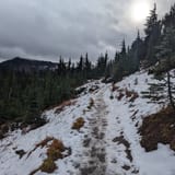 Naches Peak Loop Trail, Washington - 4,583 Reviews, Map | AllTrails
