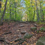 Black Cap and Cranmore Mountain via Black Cap Trail, New Hampshire ...