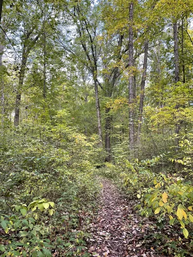Best Hikes and Trails in Spring Lake Woods and Bog - Acres Land Trust ...