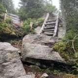 Zealand Bonds Traverse, New Hampshire - 725 Reviews, Map | AllTrails