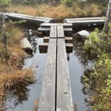 Zealand Bonds Traverse, New Hampshire - 678 Reviews, Map | AllTrails