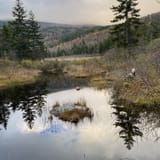 Zealand Bonds Traverse, New Hampshire - 725 Reviews, Map | AllTrails