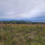 Hawk Ridge Trail, Missouri - 2,431 Reviews, Map | AllTrails