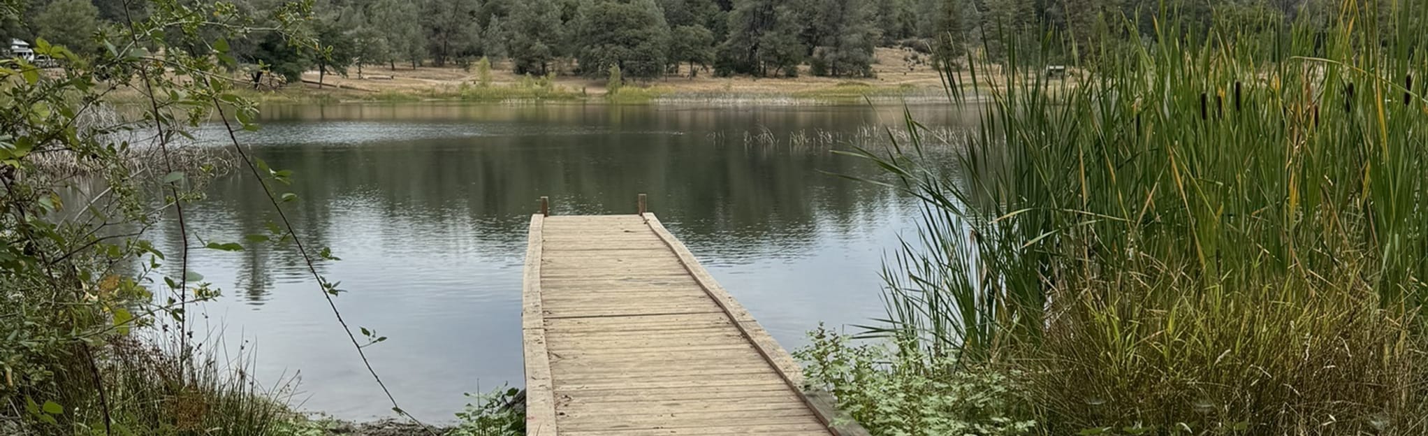 Finnon Reservoir Loop, California - 60 Reviews, Map | AllTrails