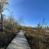 Amisk Wuche Trail, Alberta, Canada - 483 Reviews, Map | AllTrails