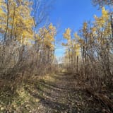 Amisk Wuche Trail, Alberta, Canada - 483 Reviews, Map | AllTrails