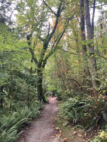 Best Hikes and Trails in Lakeridge Park | AllTrails