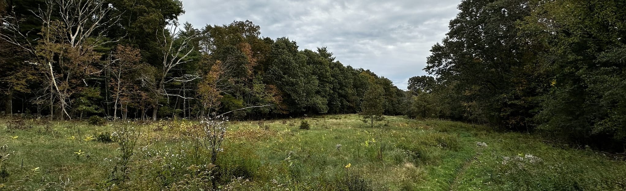 The Willowbrook Farm Trail, Massachusetts - 384 Reviews, Map | AllTrails