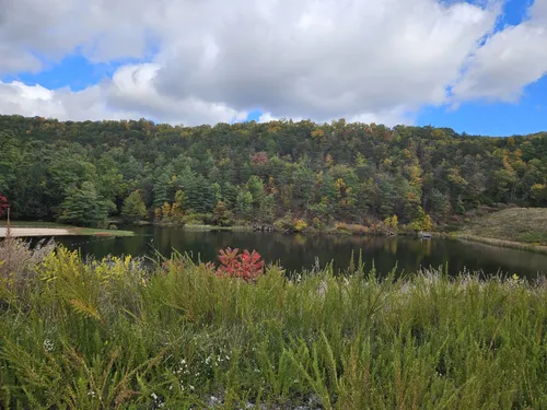 Best Beach Trails in Mount Solon | AllTrails